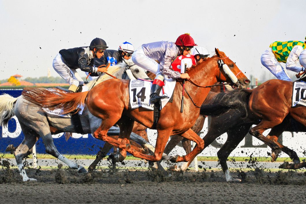 Meydan Horse Racing Tips | The Tipster League Meydan Horse Racing Tips | The Tipster League